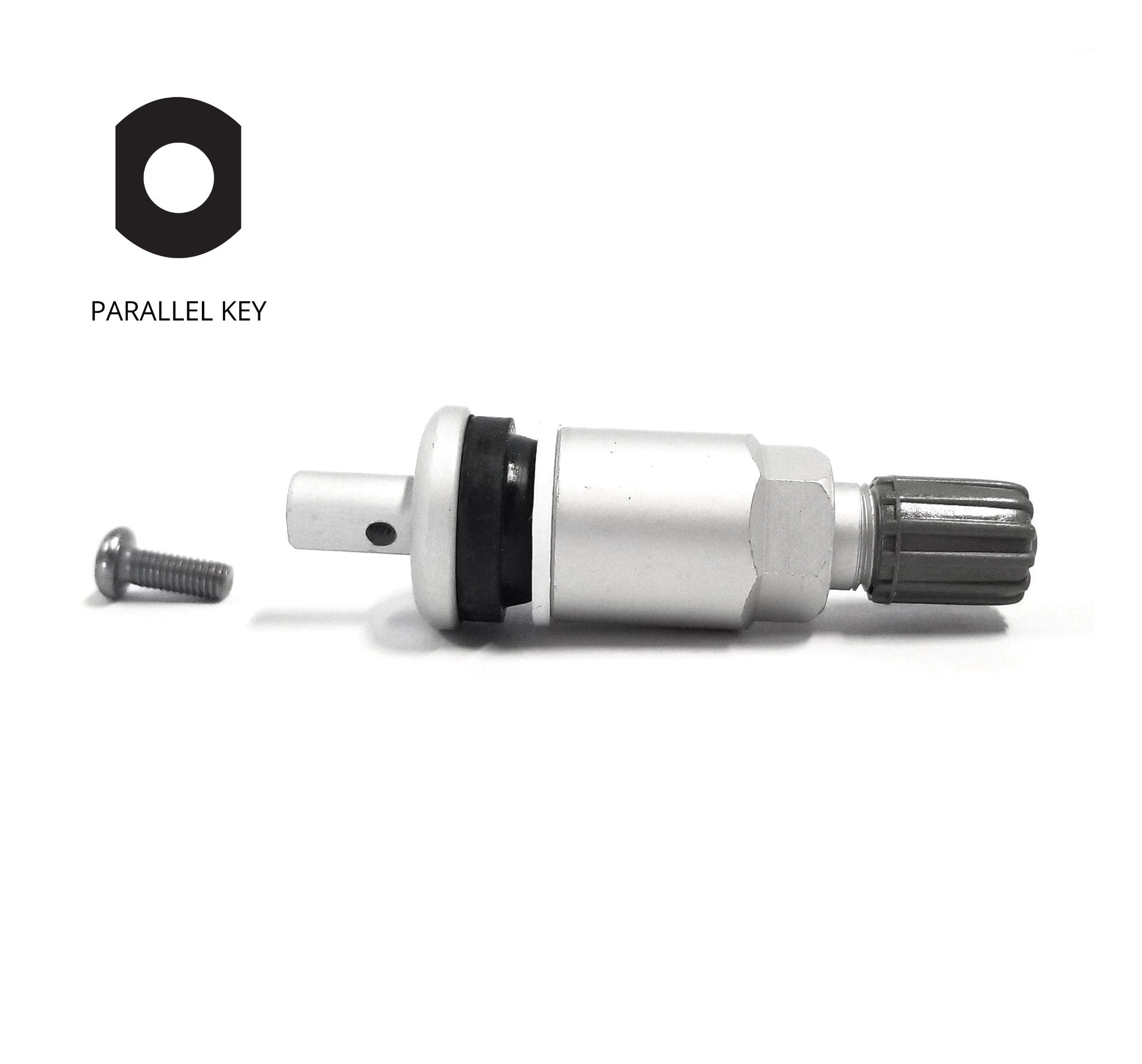 Hamaton TPMS Service Kit 6-216, Pack of 10, Schrader Rev 4